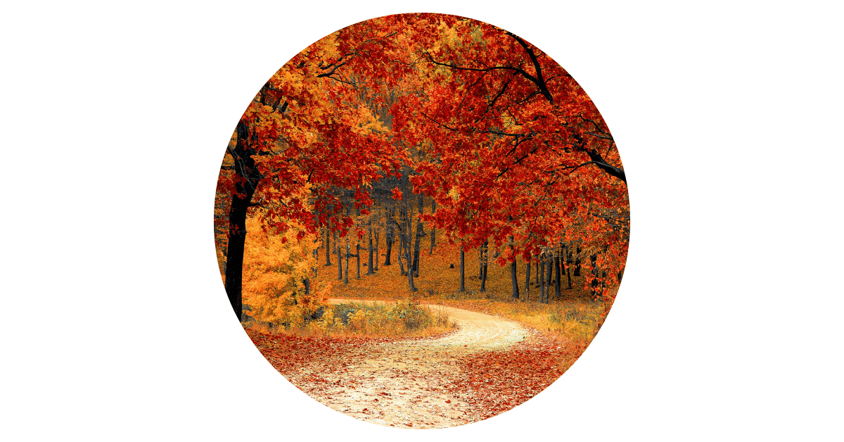 State Parks for Leaf Peeping – KCE
